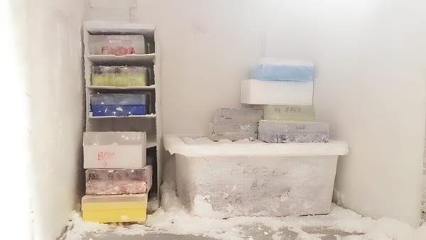 Biobanks and genetic repositories | The Lovepost